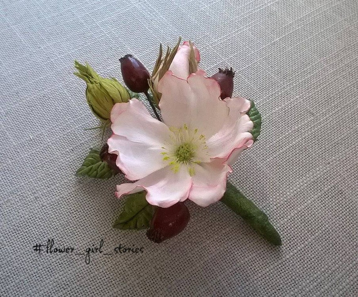 Men's Buttonhole Wild Rose Briar Rose Pink Boutonniere - Etsy