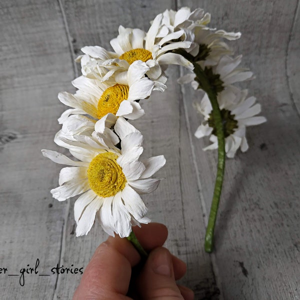 Flower Crown Daisy - Etsy