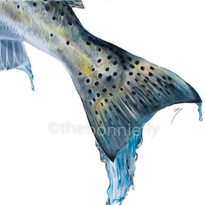 Speckled Trout Dripping Tail Series Fish Giclee Print | Inshore Fishing ...