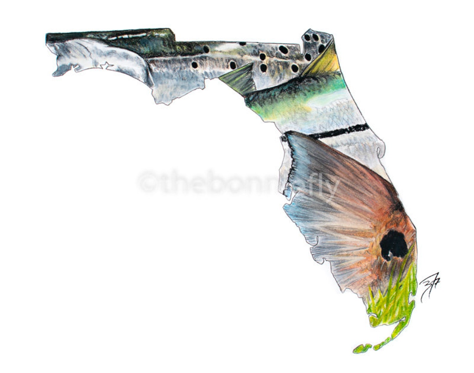 Florida Giclee Fish Print Snook Trout Redfish Art | Etsy