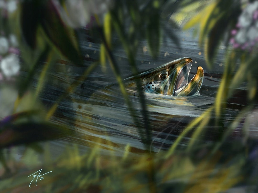 Brown Trout Laurel Rise | Take Series | Trout Fishing | Fly Fishing Art ...