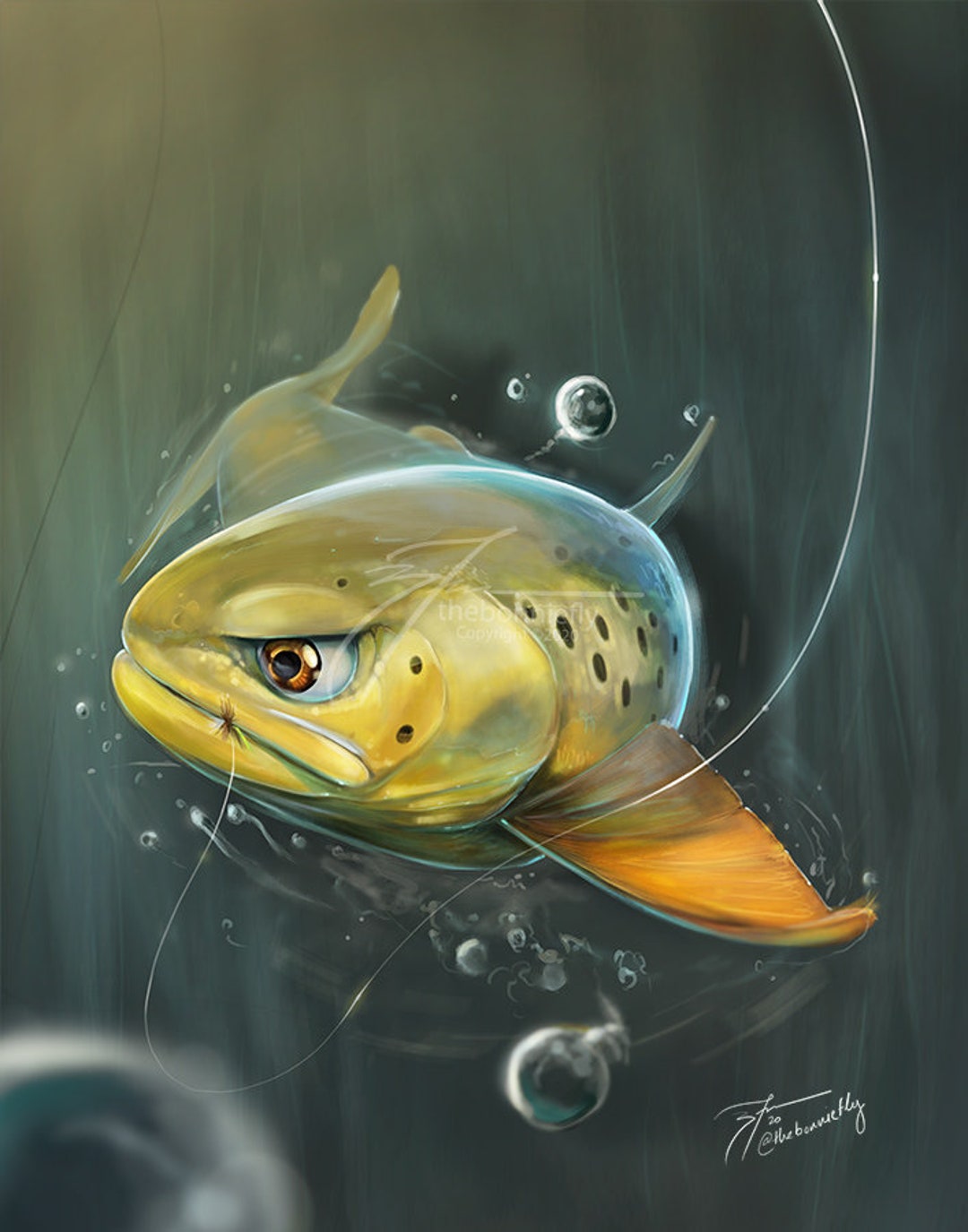 Angry Brown Trout Day 7 | Brown Trout Life Cycle Series - Etsy