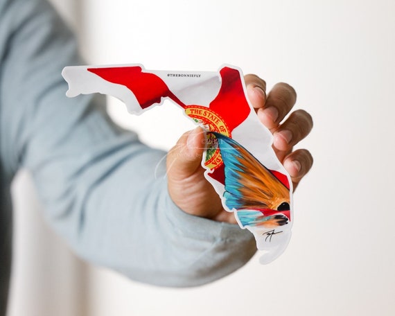 Florida Redfish 3M Decal / Inshore Fishing State Flag Stickers - Etsy