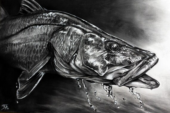 Original robalo 24x36 Inch Charcoal on Canvas - Etsy
