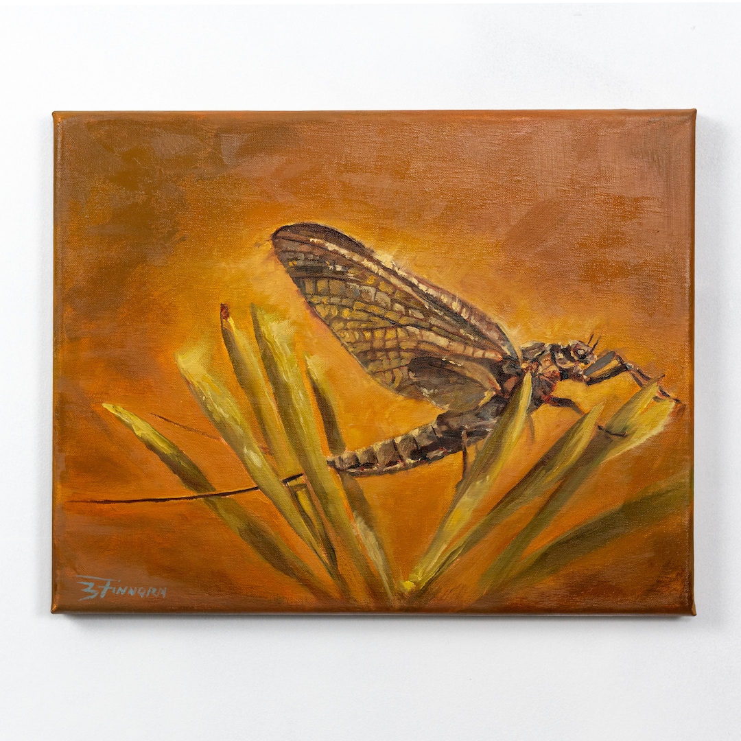Original mayfly in Gold 11x14 Inch Oil Painting - Etsy