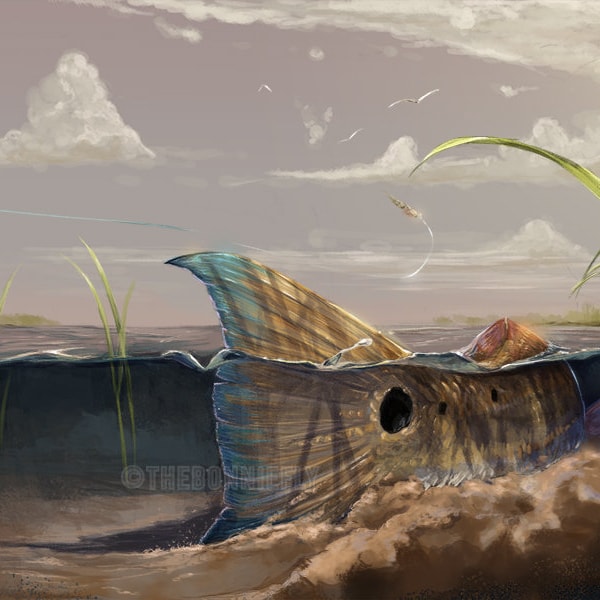 Saltwater Fish Art - Etsy