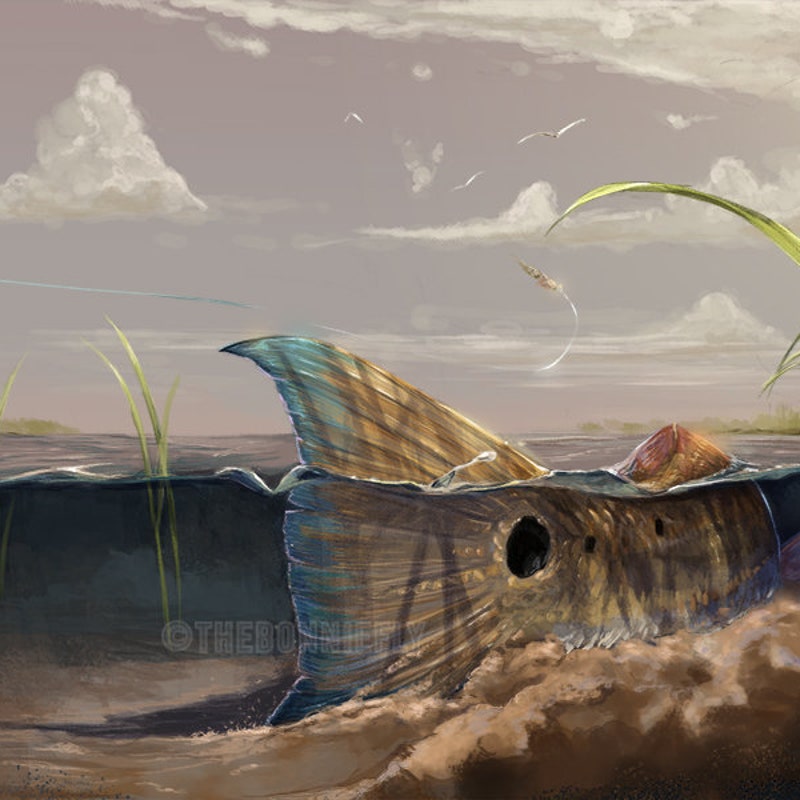 Fly Fishing Art - Etsy
