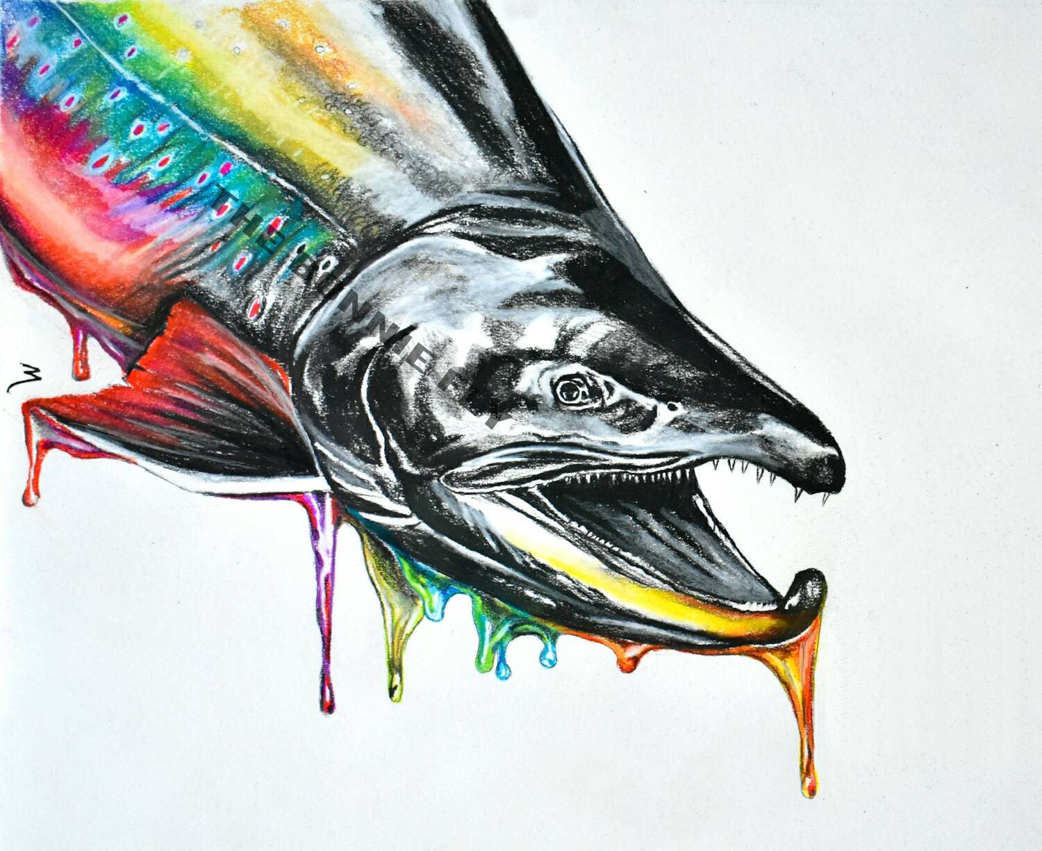 Melting Fish Set Fly Fishing Prints Giclee Fish Artwork | Etsy