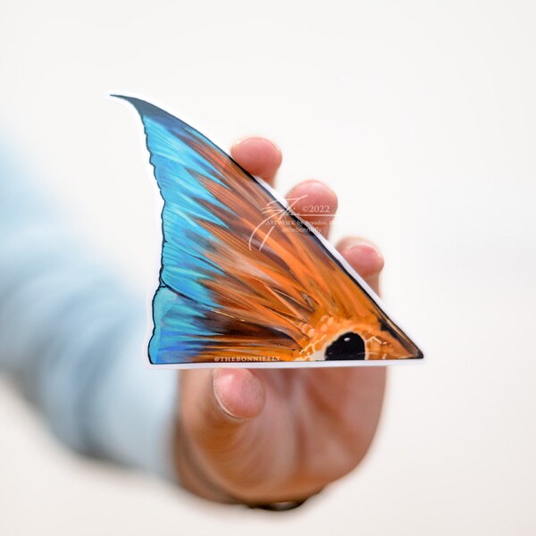 Fishing Decal - Etsy