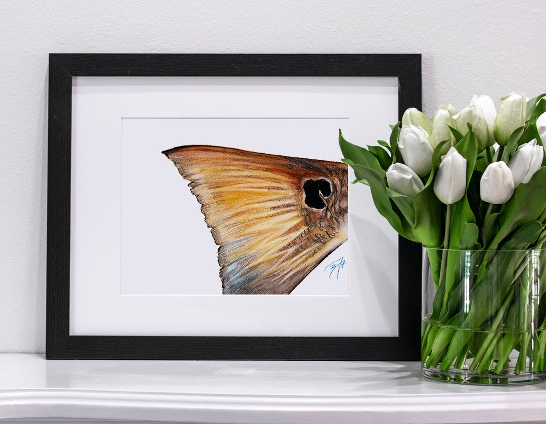 Original and Archival Redfish Tailing Prints | Fish Tail Series ...