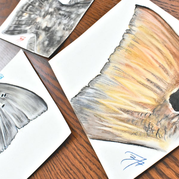 Redfish Tail Svg - Etsy