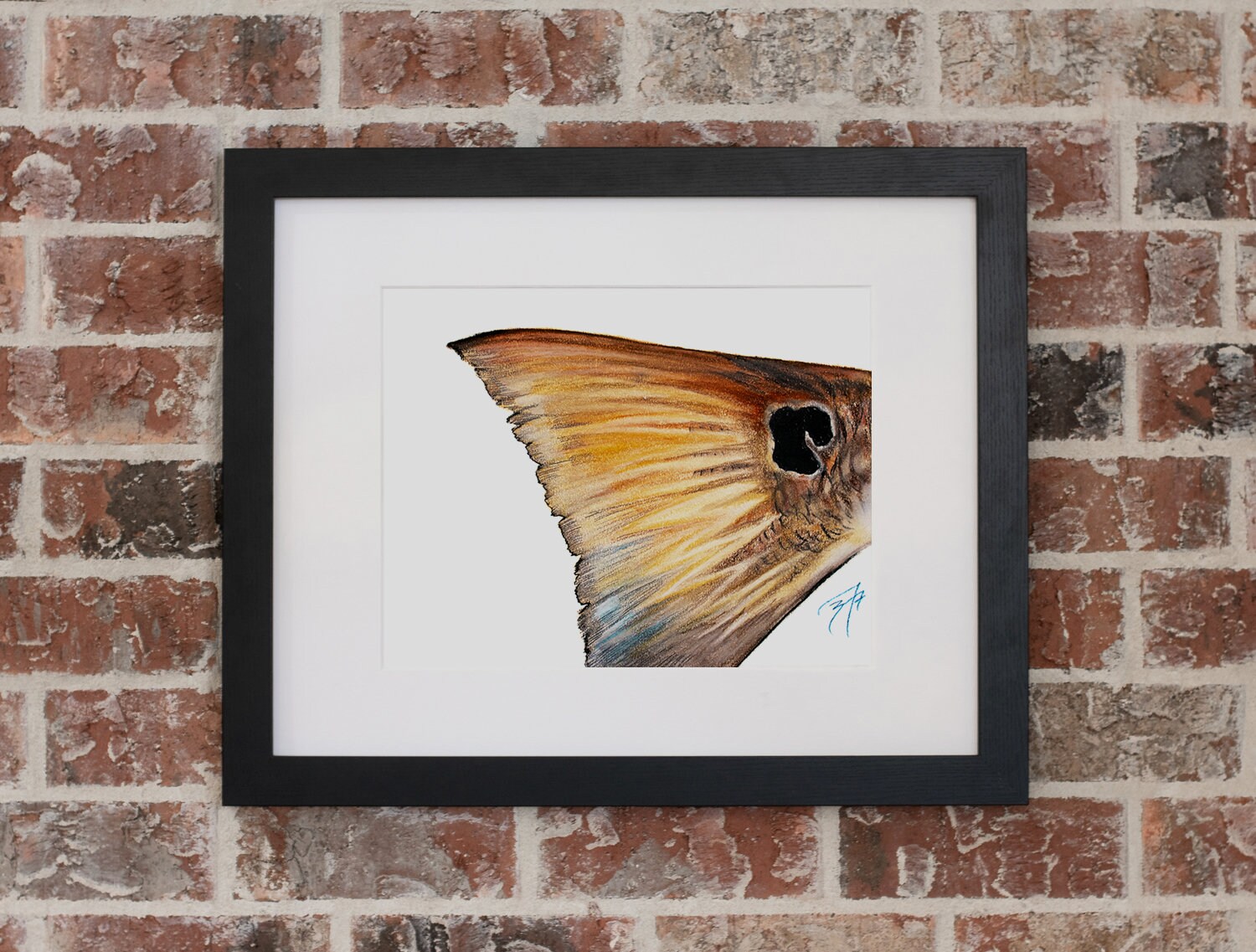 Original and Archival Redfish Tailing Prints Fish Tail - Etsy