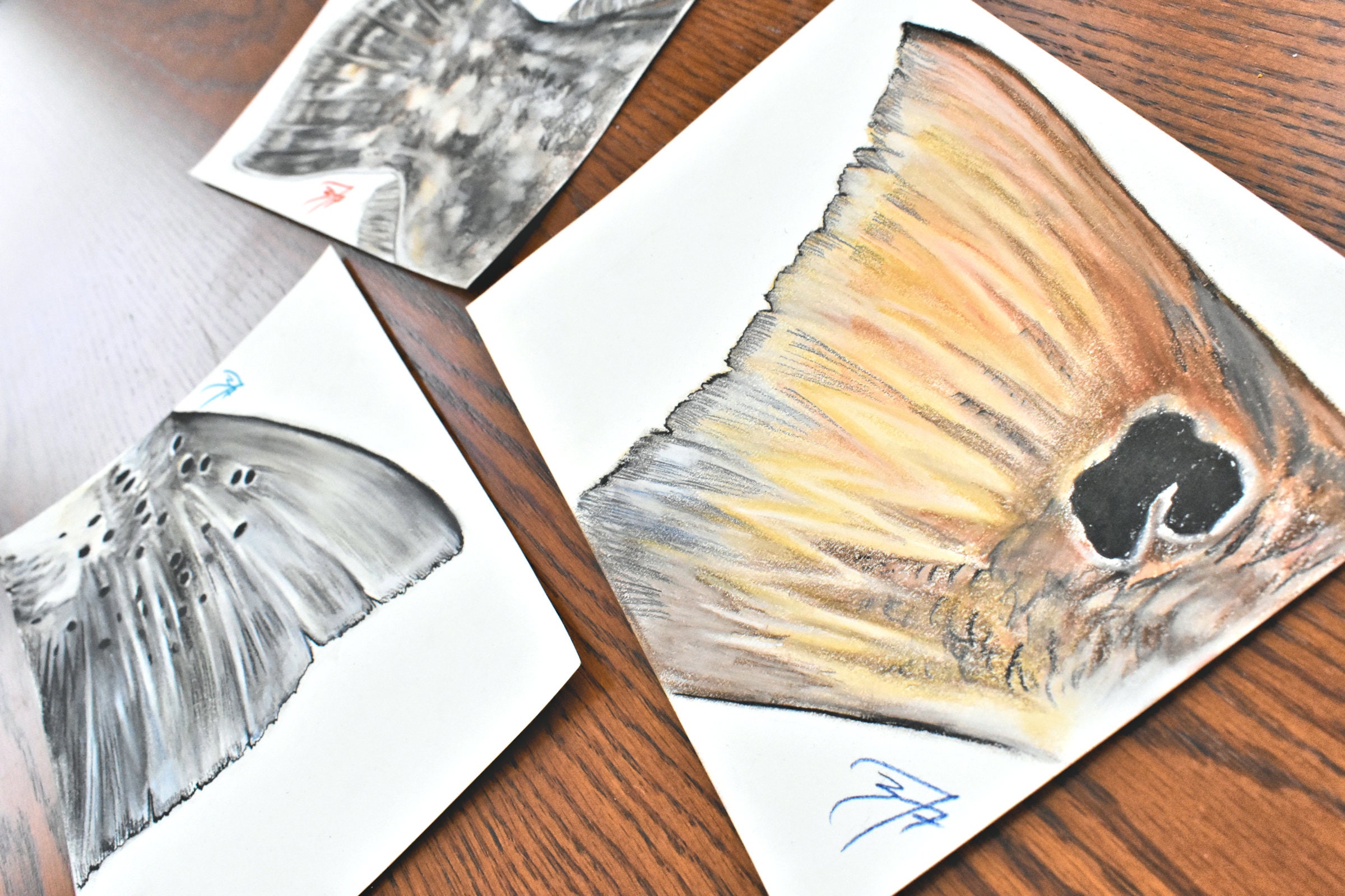 Original and Archival Redfish Tailing Prints Fish Tail - Etsy