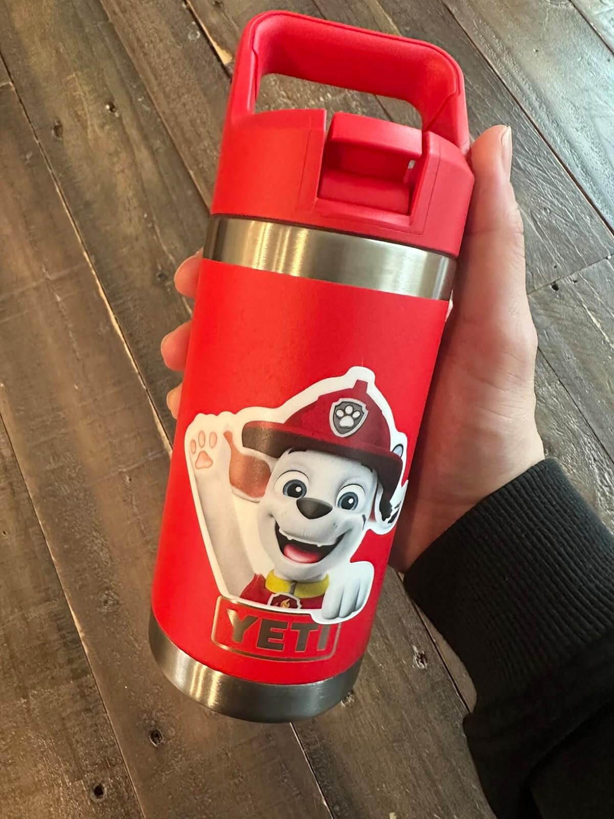 Paw Patrol Decals - Chase, Skye, Rubble, Marshall Stickers for Kids and ...