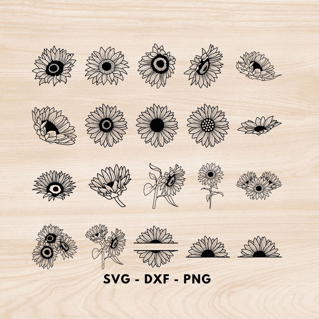 Sunflower SVG DXF PNG Bundle, 20 Line Art Hand Drawn Sunflowers, Design ...