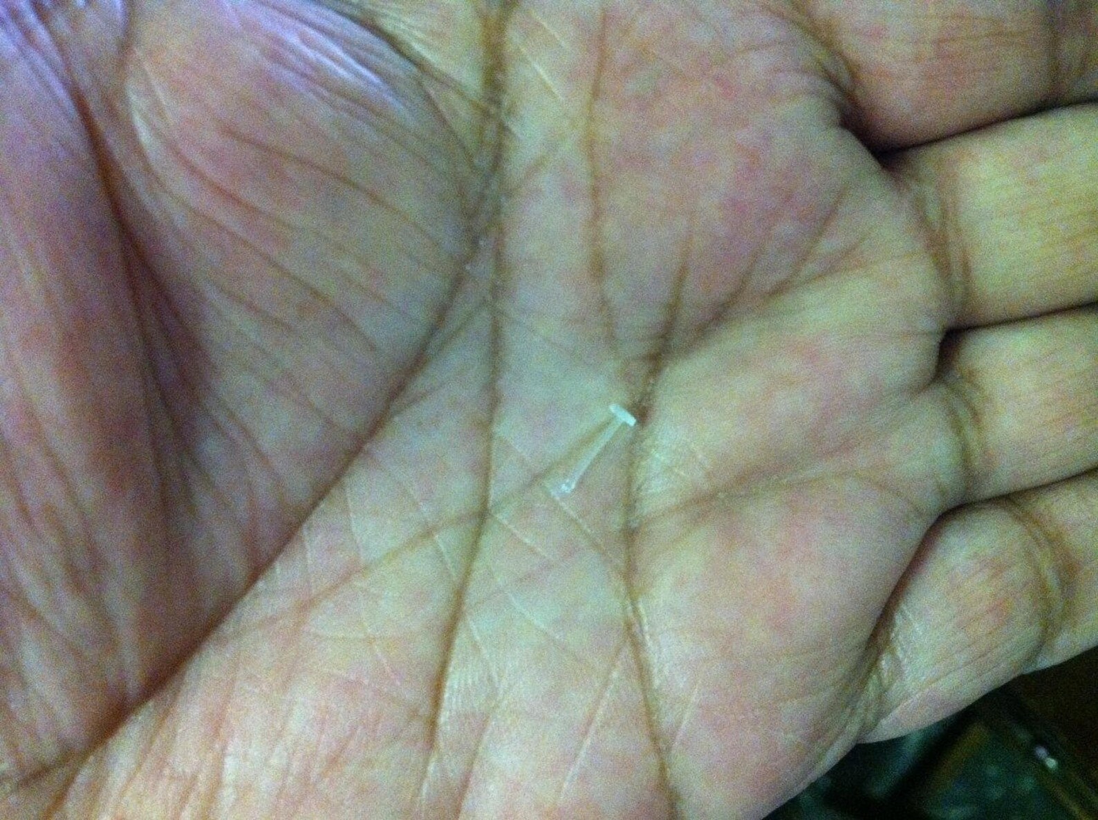 22g Bone BIO FLEX Nose Retainer Buy One Get One Free - Etsy