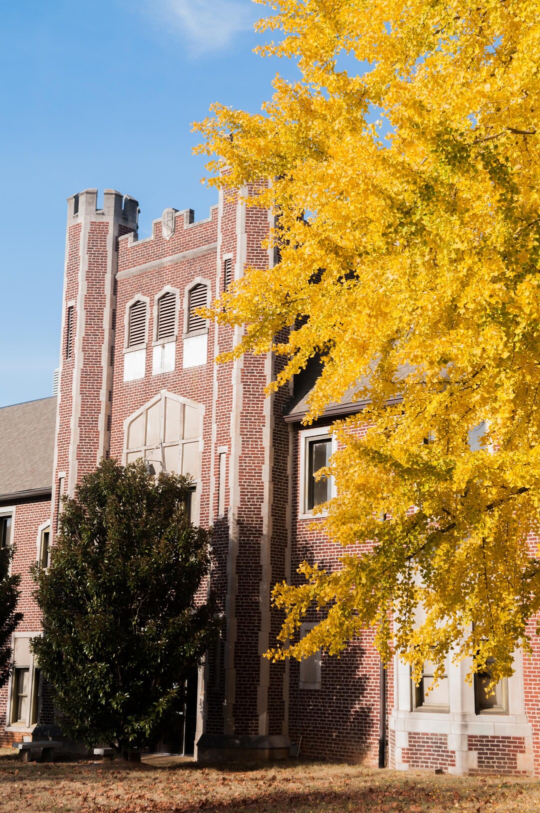 UTC University Facade - Yellow Ginkgo Tree - Chattanooga Tennessee ...