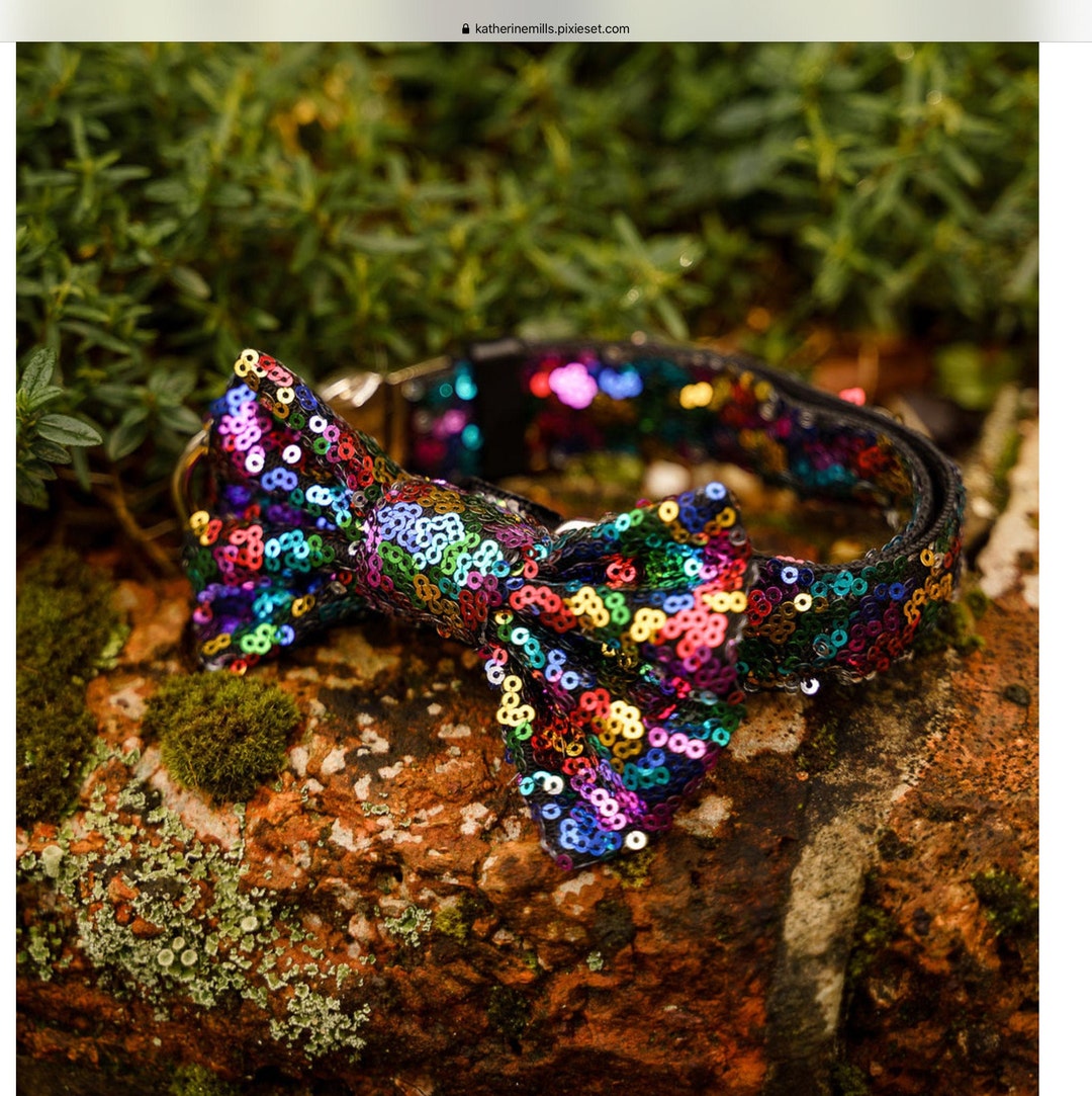 Luxury RAINBOW Sequin Collar With Bow / Bow-tie - Size Small Medium ...