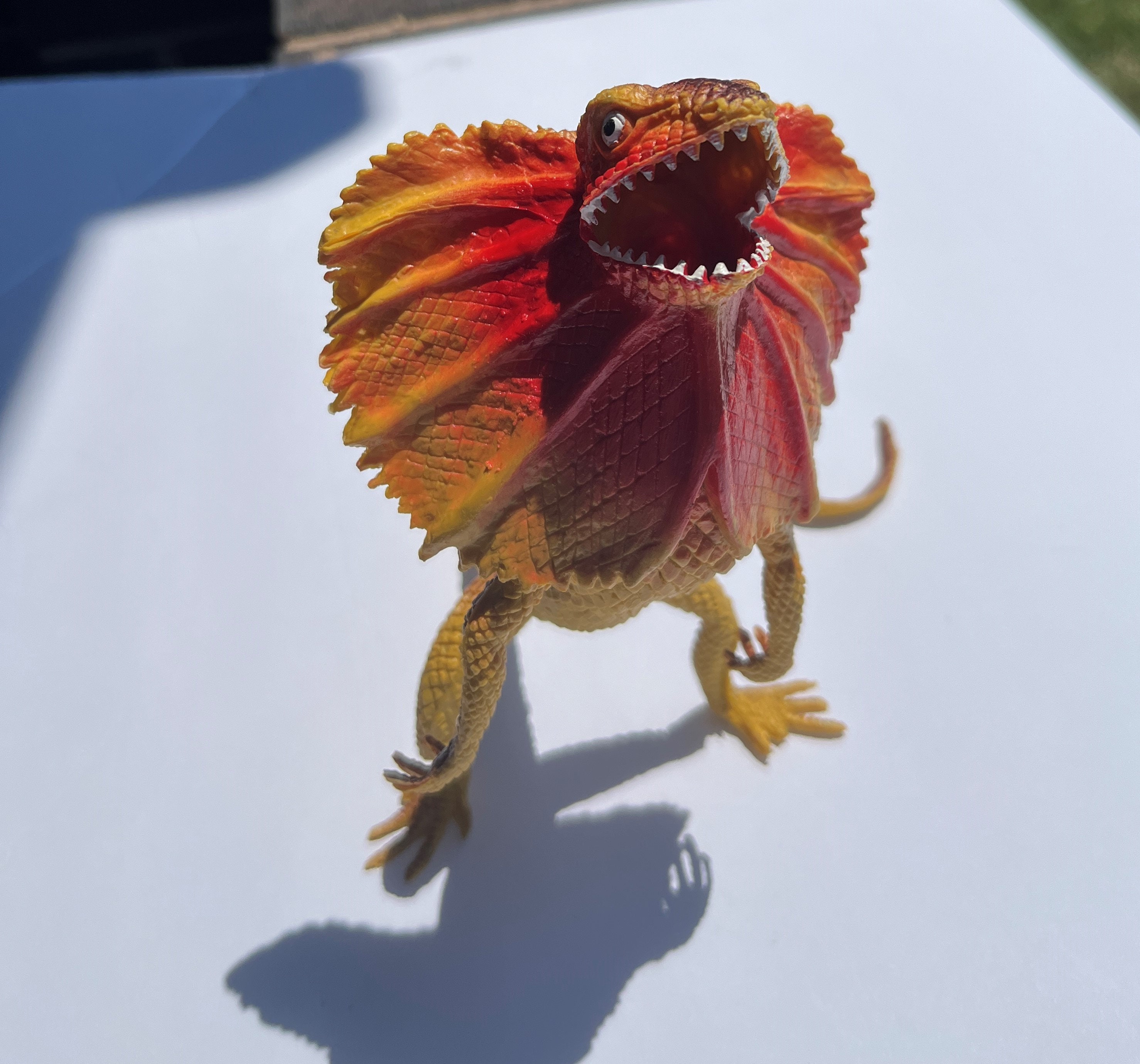 Frilled Neck Dinosaur