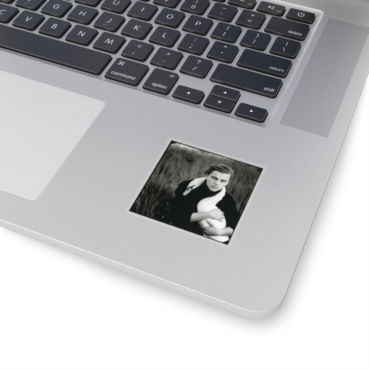 Leonardo Dicaprio Sticker - Swan Photo - Etsy