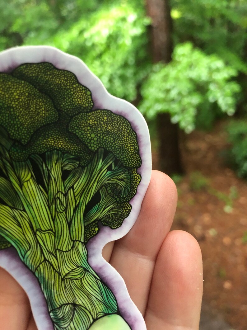Broccoli Vinyl Die Cut Sticker Fade and Waterproof | Etsy