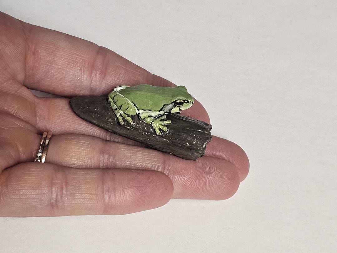 Grey Tree Froglet: Read Description - Etsy