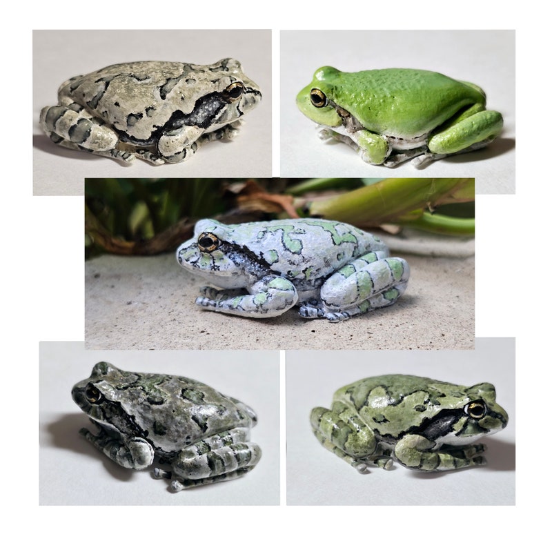 Clay Frog Realistic - Etsy