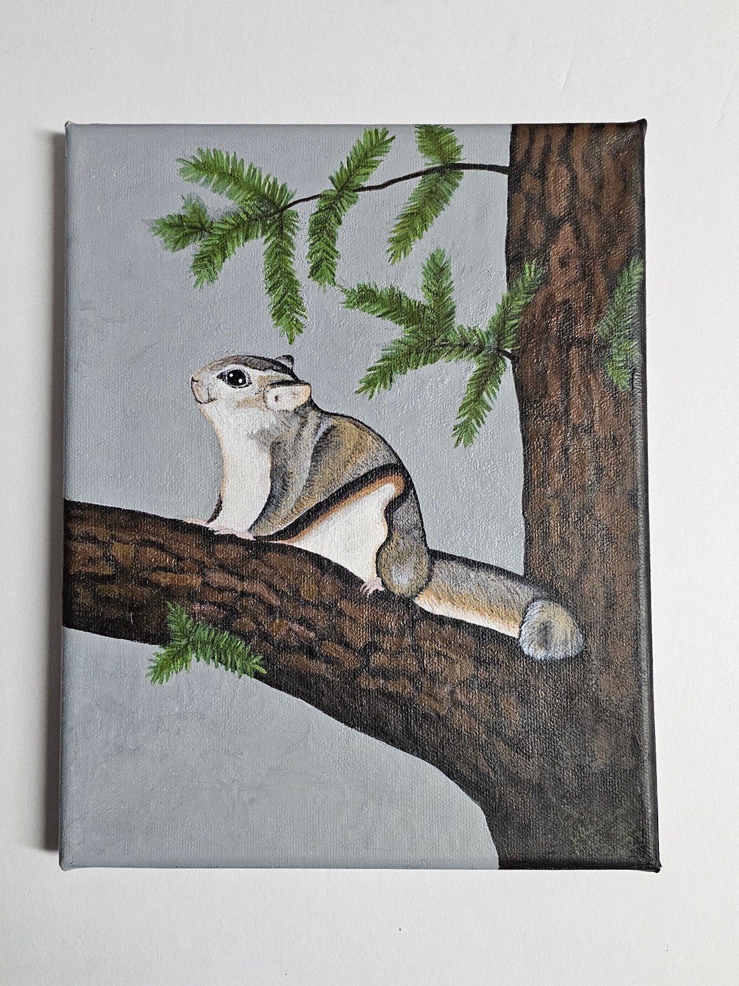 N. Flying Squirrel Painting - Etsy