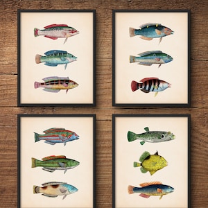 Tropical Fish Print Set, Beach Decor, Large Wall Art, Coastal Art ...