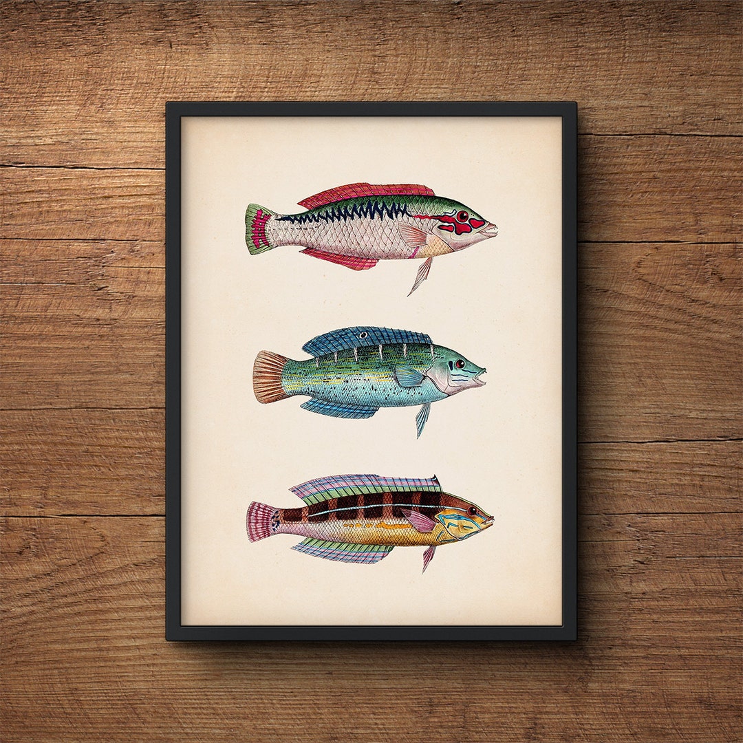 Fish Print, Tropical Fish Art, Coastal Art Poster, Nautical Prints ...