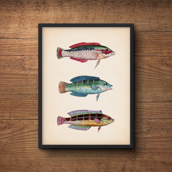 Tropical Fish Art - Etsy