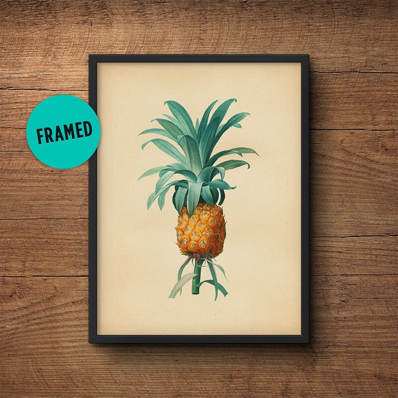 Pineapple Frame - Etsy
