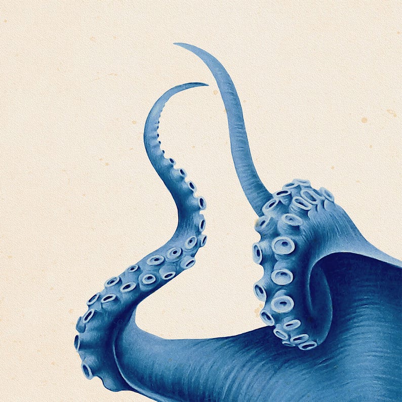 Blue Octopus Print Framed Art Octopus Art Octopus Wall Art - Etsy