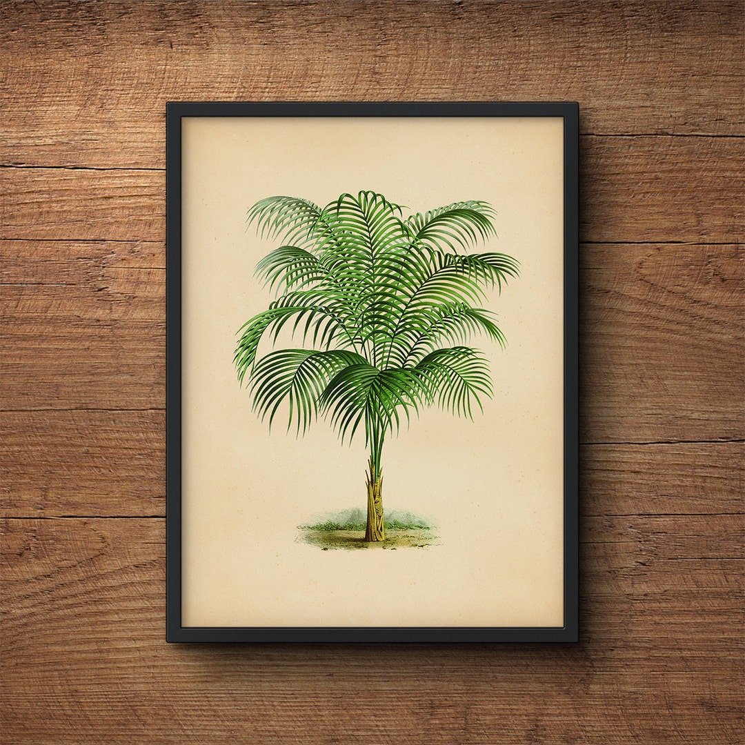 Topical Palm Tree Art, Palm Leaf Wall Decor, Palm Leaf Prints, Palm ...