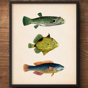 Tropical Fish Print Set, Beach Decor, Large Wall Art, Coastal Art ...
