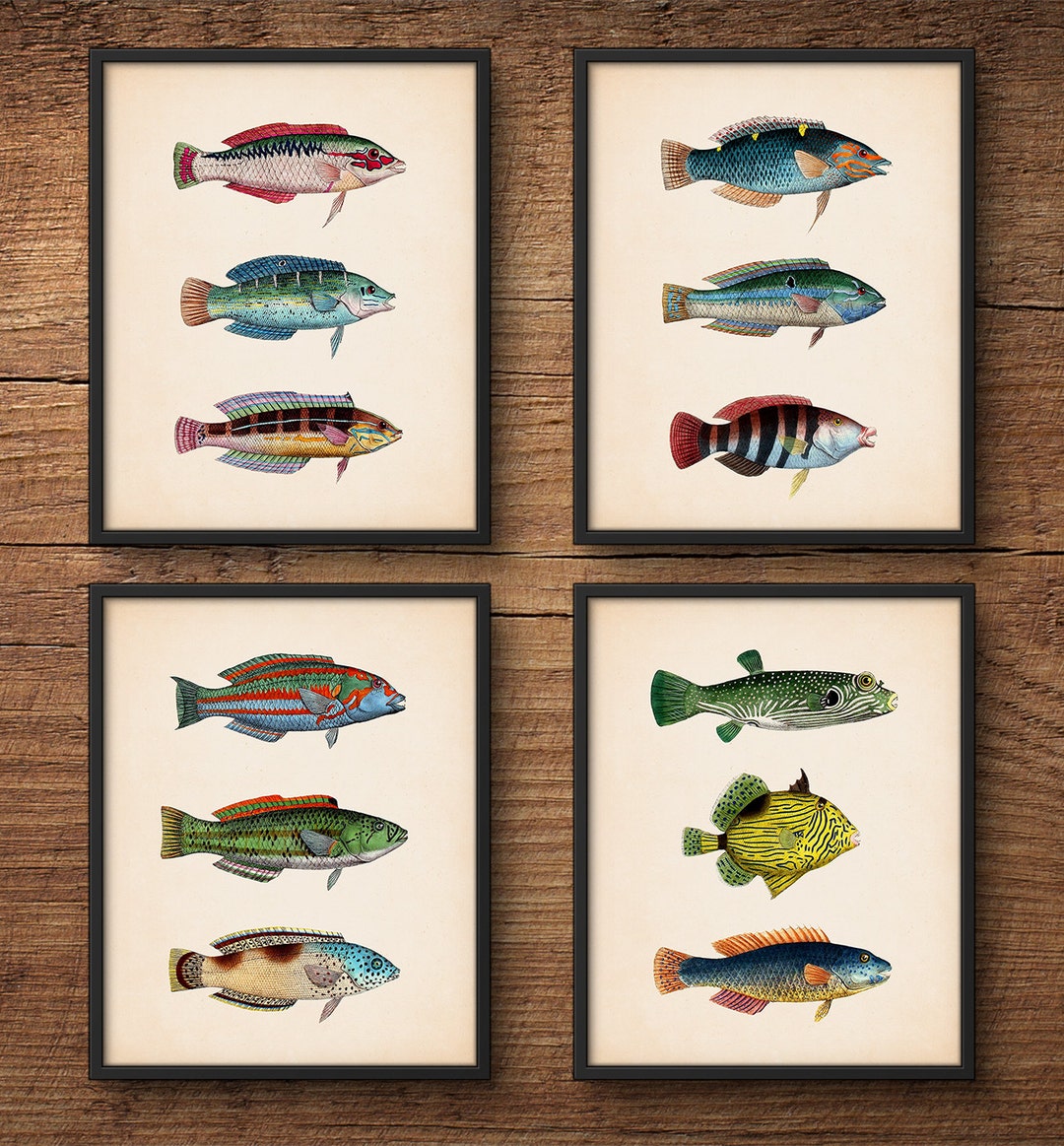 Tropical Fish Print Set, Beach Decor, Large Wall Art, Coastal Art ...