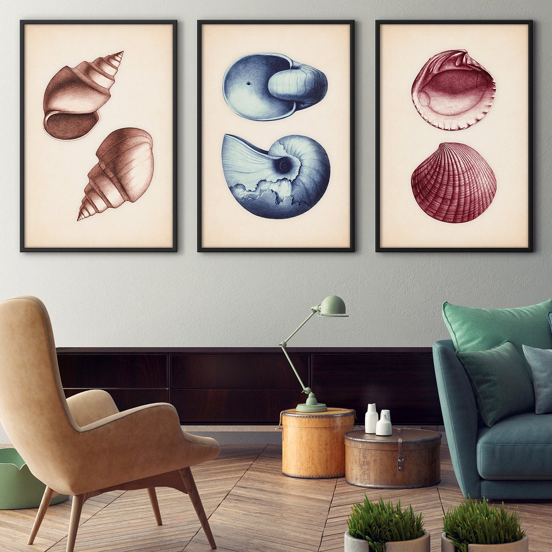 Seashell Prints, Seashell Posters, Nautical Decor, Coastal Art ...