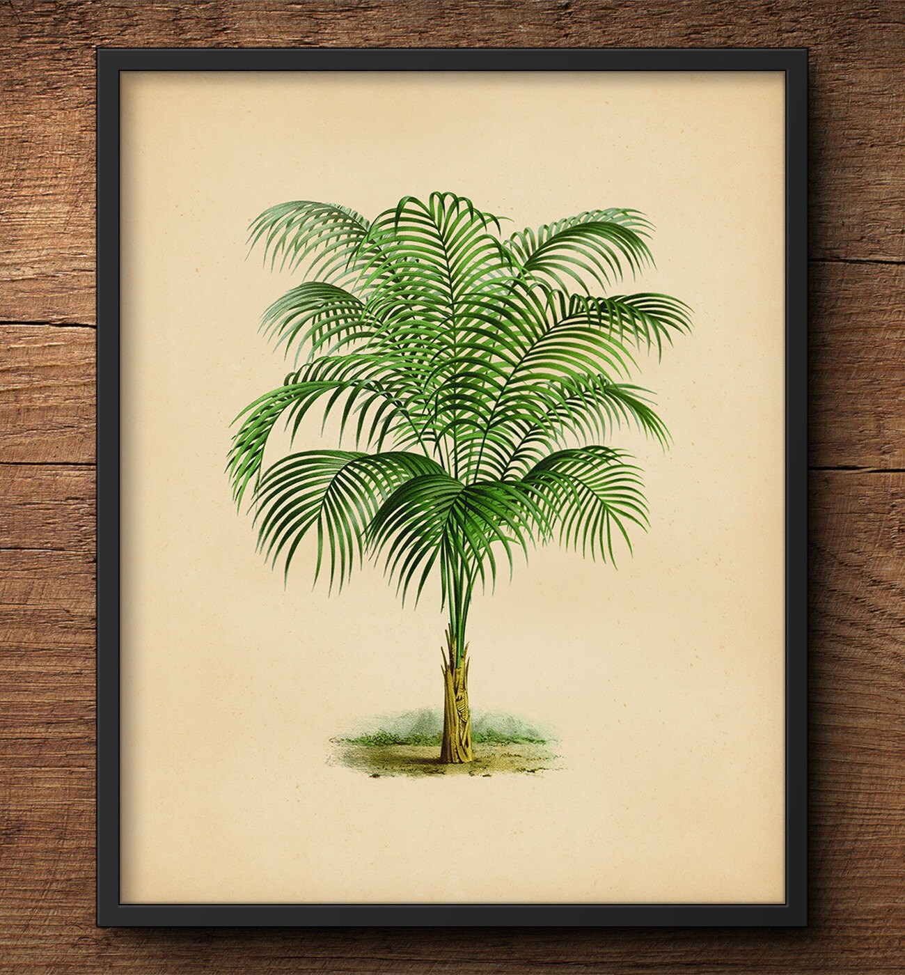 Botanical Print Set Palm Tree Print Set Palm Tree Prints - Etsy