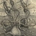 Giant Octopus Wall Art on Canvas Giant Octopus Print Octopus - Etsy