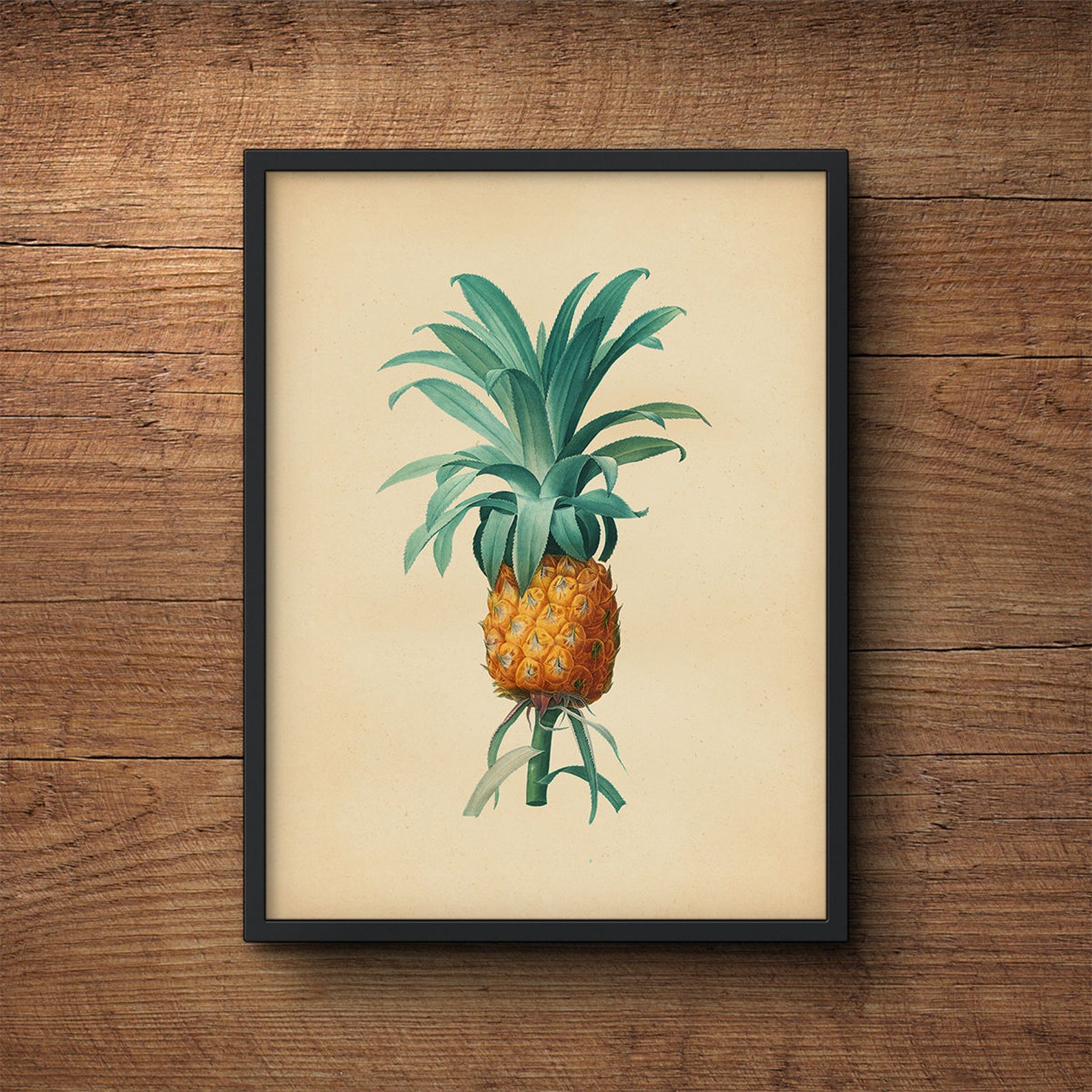 Pineapple Wall Art Pineapple Print Art Botanical Wall Art - Etsy