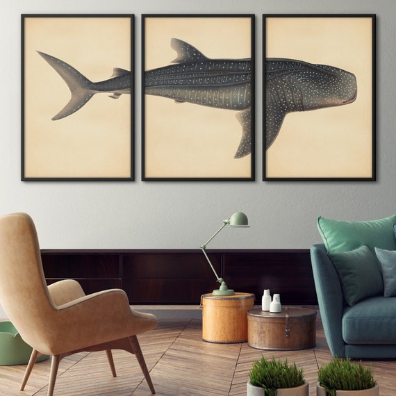 Shark Poster Set of 3 Shark Art Poster Whale Shark Print | Etsy