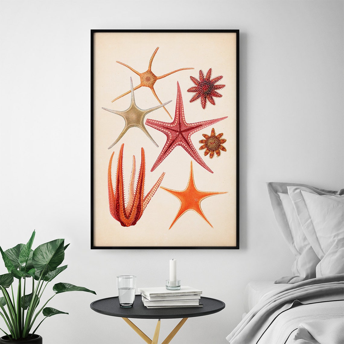 Starfish Art Coastal Art Starfish Collage Beach House Art - Etsy