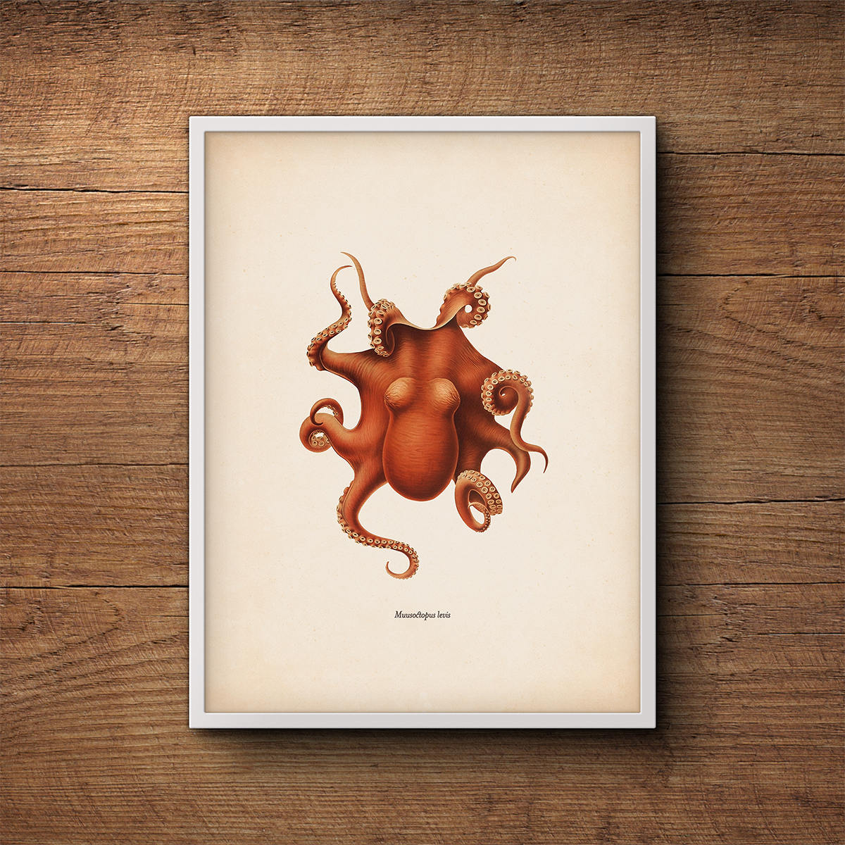 Octopus Print Octopus Poster Octopus Art Octopus Wall Art | Etsy