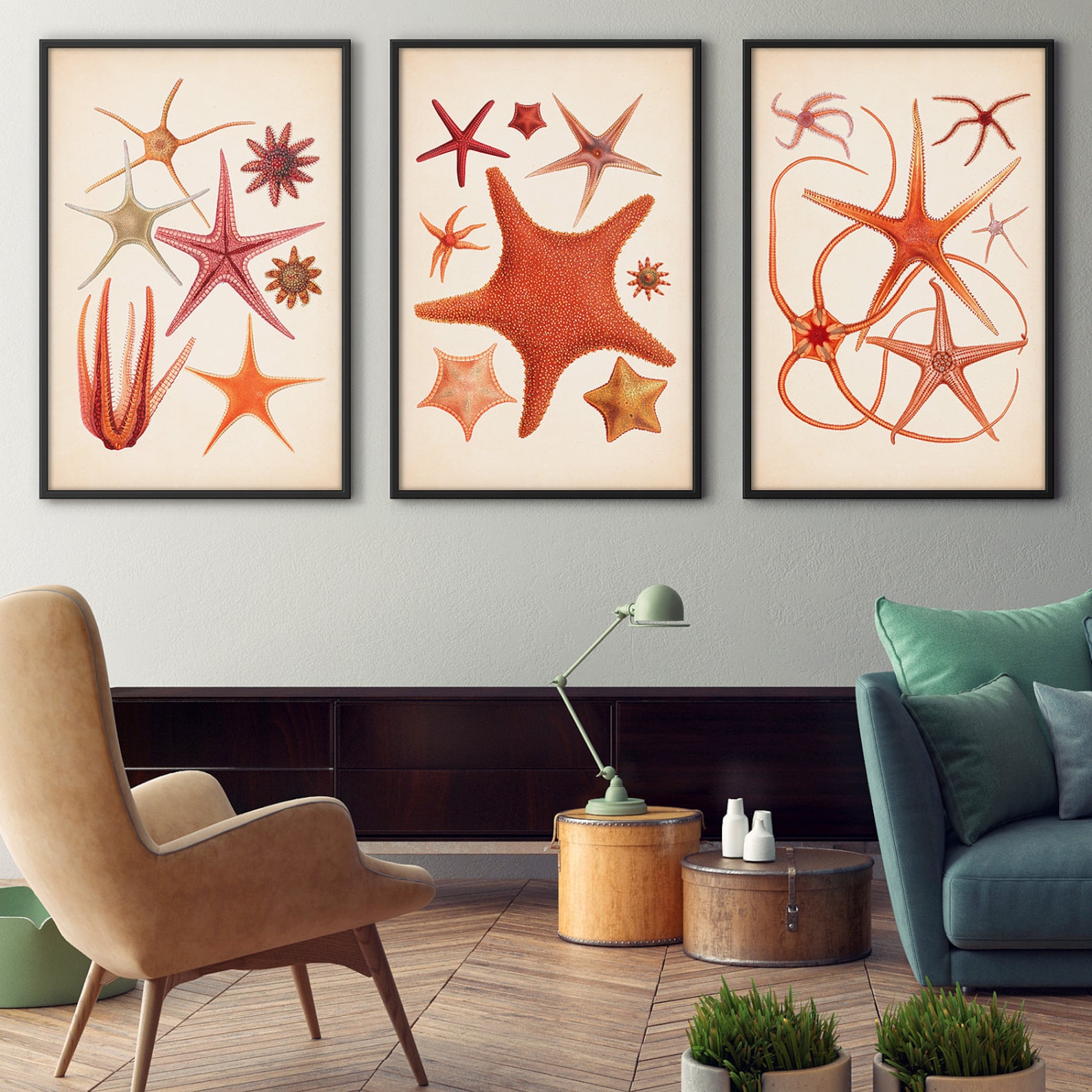 Starfish Prints, Starfish Posters, Print Set of 3, Nautical Decor ...