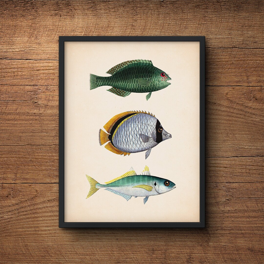 Fish Art – Coastal Art Poster, Nautical Prints, Beach Art, Vintage Art ...