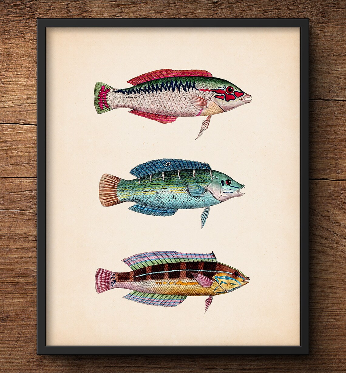 Tropical Fish Print Set Beach Decor Large Wall Art Coastal | Etsy