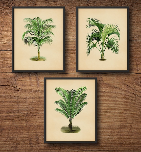Prints Palm Print Set Palm Leaf Print Palm Tree Print Set Tropical Leaf ...