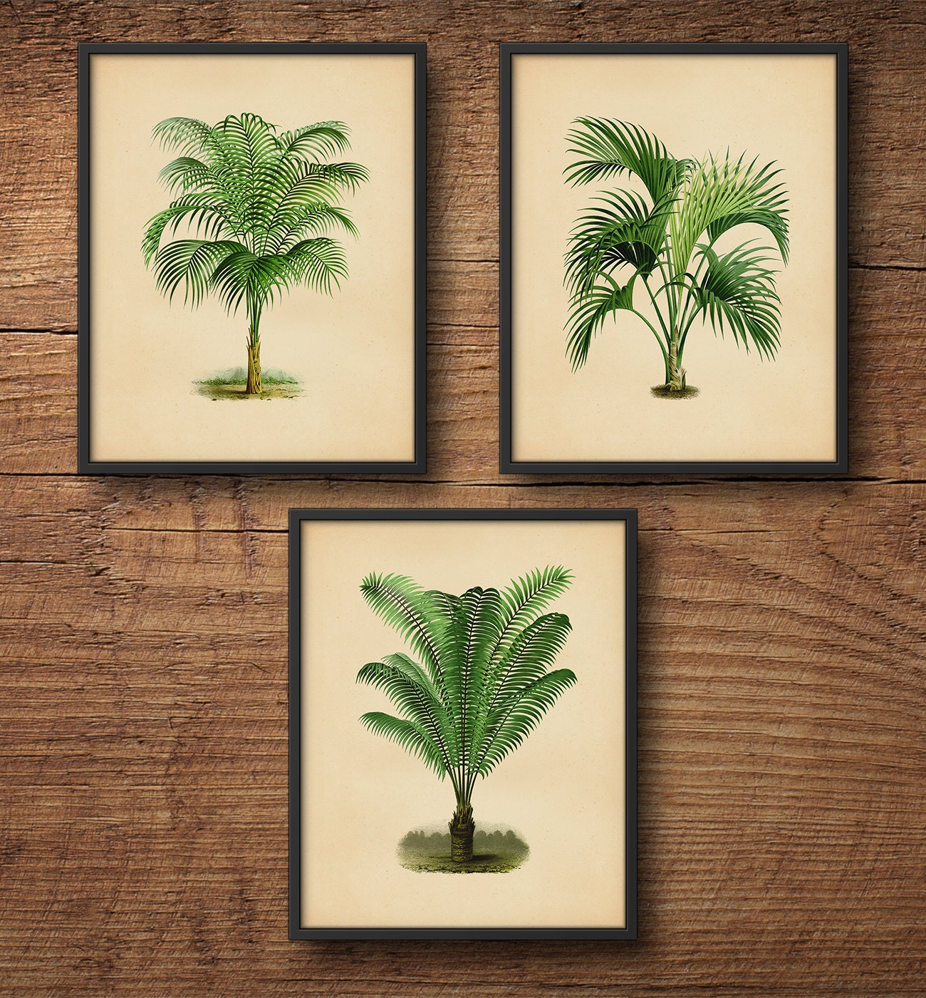 Botanical Print Set Palm Tree Print Set Palm Tree Prints - Etsy