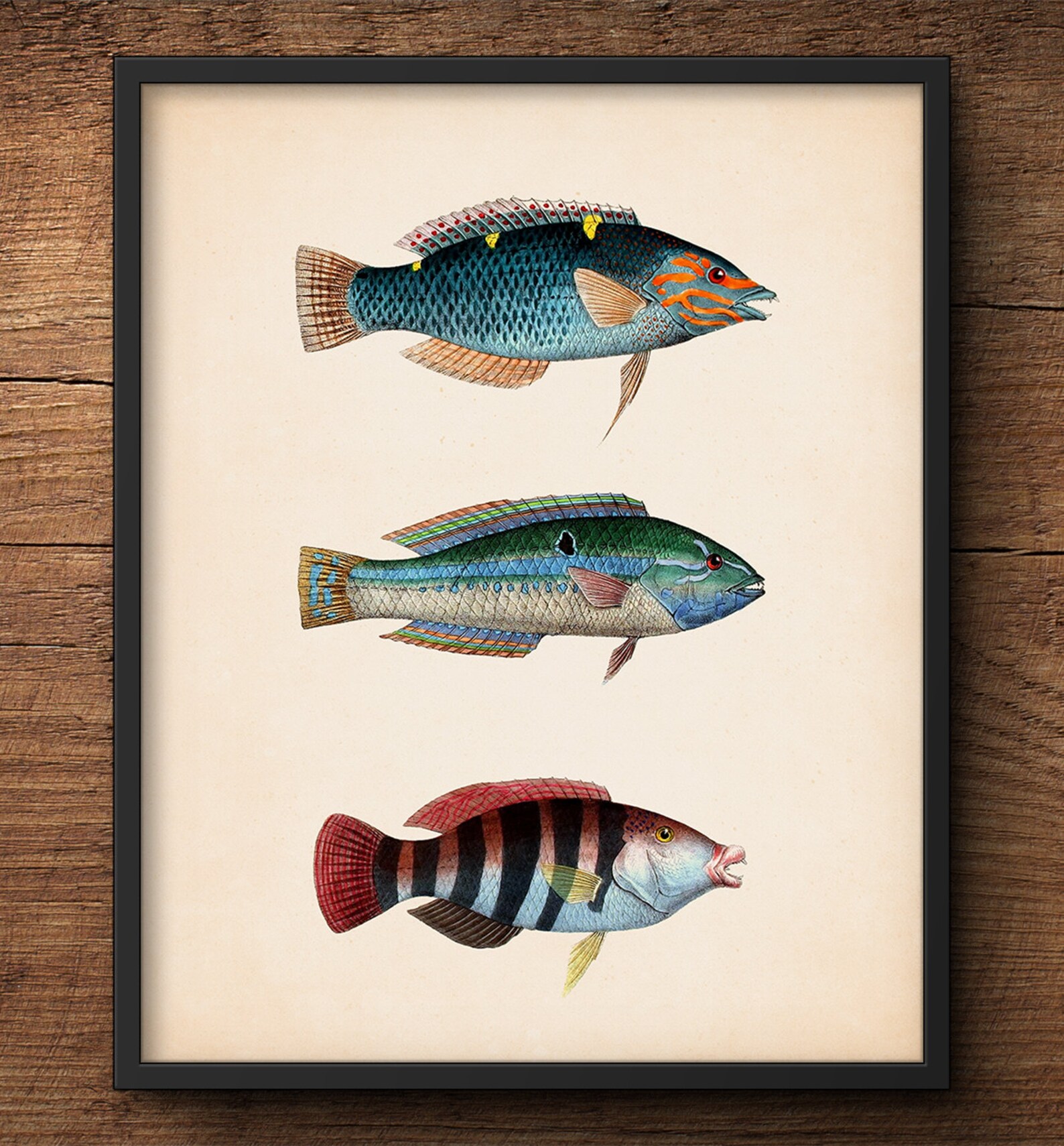 Tropical Fish Print Set Beach Decor Large Wall Art Coastal | Etsy