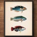 Tropical Fish Print Set, Beach Decor, Large Wall Art, Coastal Art ...